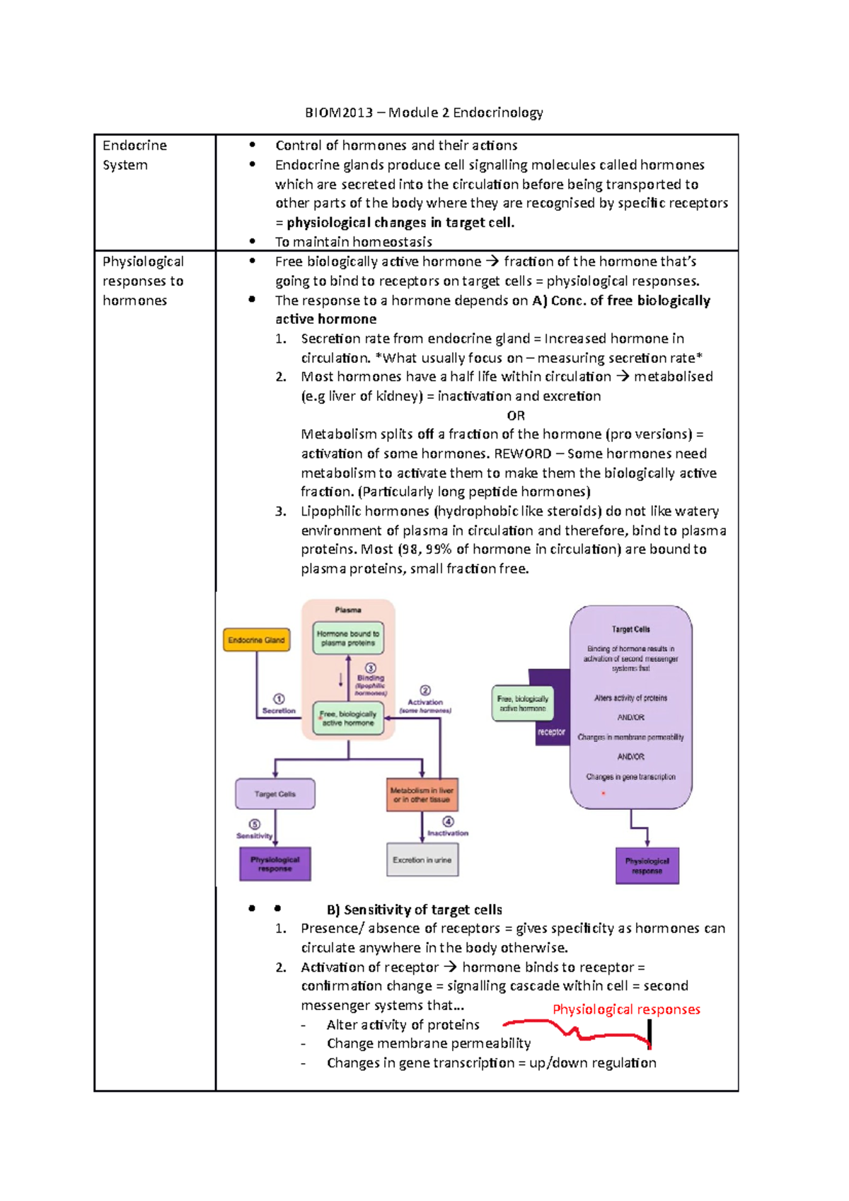 BIOM2013 Endocrine Notes - BIOM2013 – Module 2 Endocrinology Endocrine ...