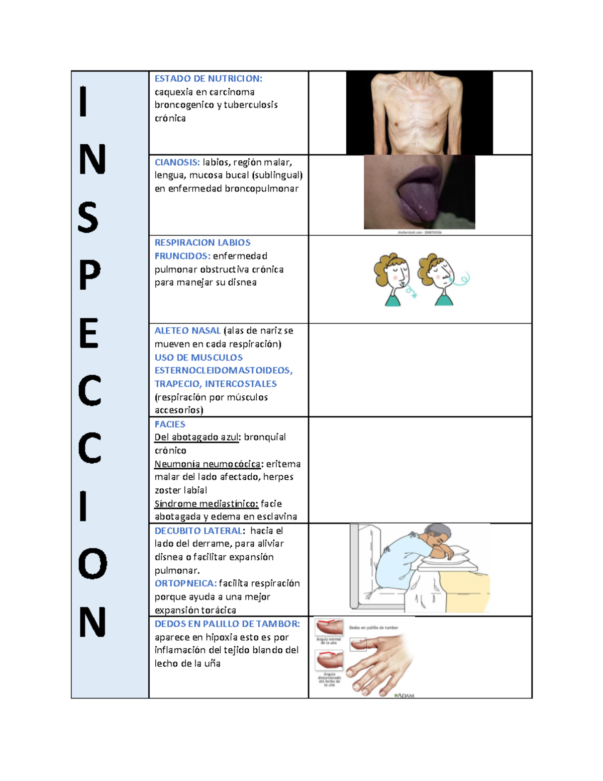 Pulmonar - I N S P E C C I O N ESTADO DE NUTRICION: caquexia en ...