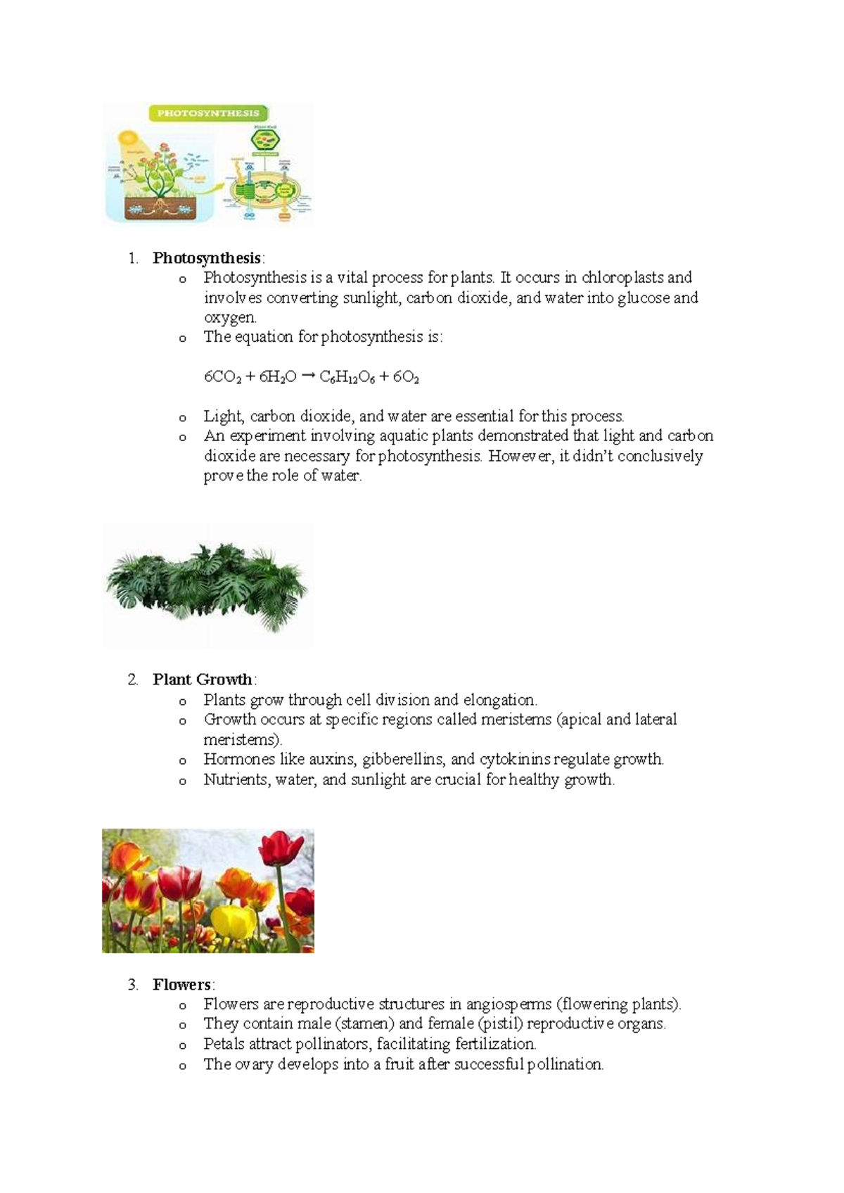 Biology 13 Summary - Notes on Plants. - 1. Photosynthesis: o ...