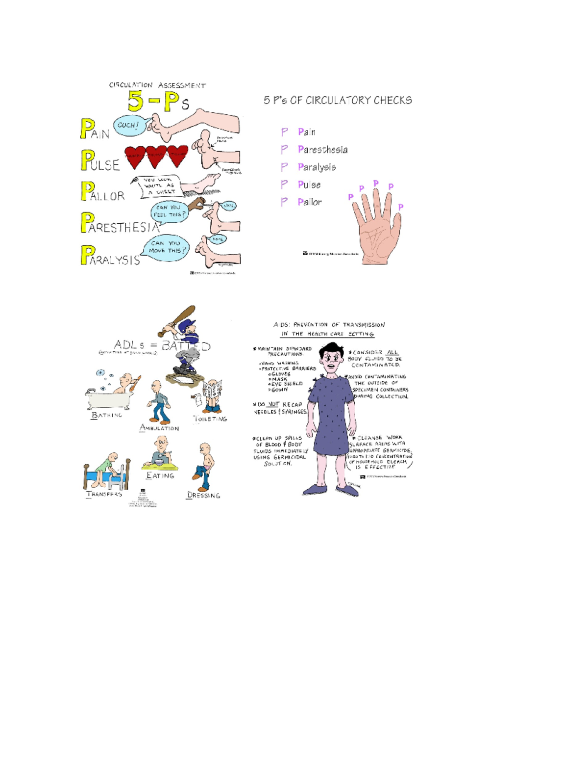 Doc1 pics - Practice quiz - CIRCULATION ASSESSMENT S 5 OF CIRCULATORY ...