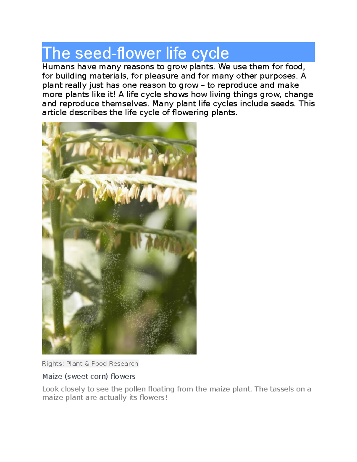 The seed-flower life cycle - The seed-flower life cycle Humans have ...