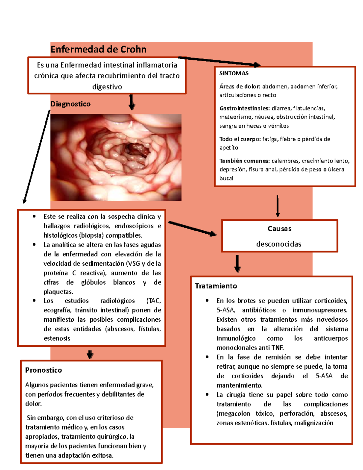 Enfermedad de Croh 1 - resúmenes - Enfermedad de Crohn Diagnostico Es ...