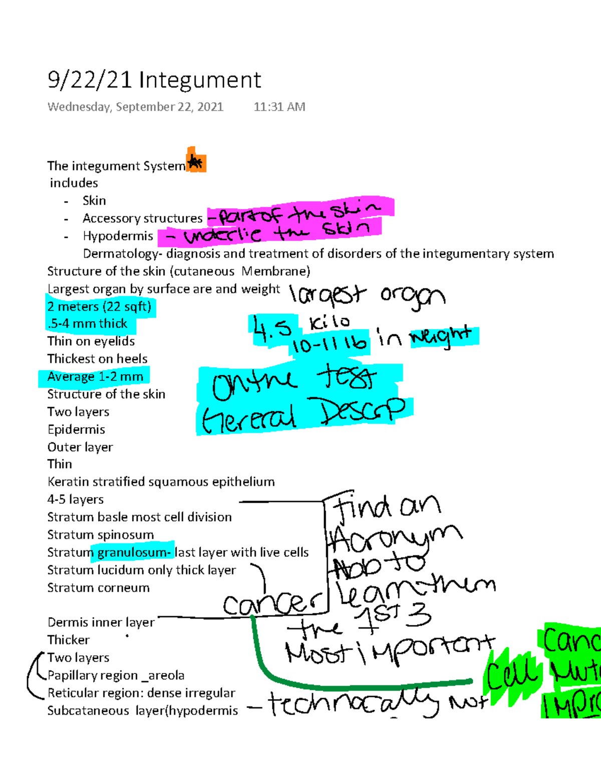 Integumentary sys. AP1 - The integument System includes - Skin ...
