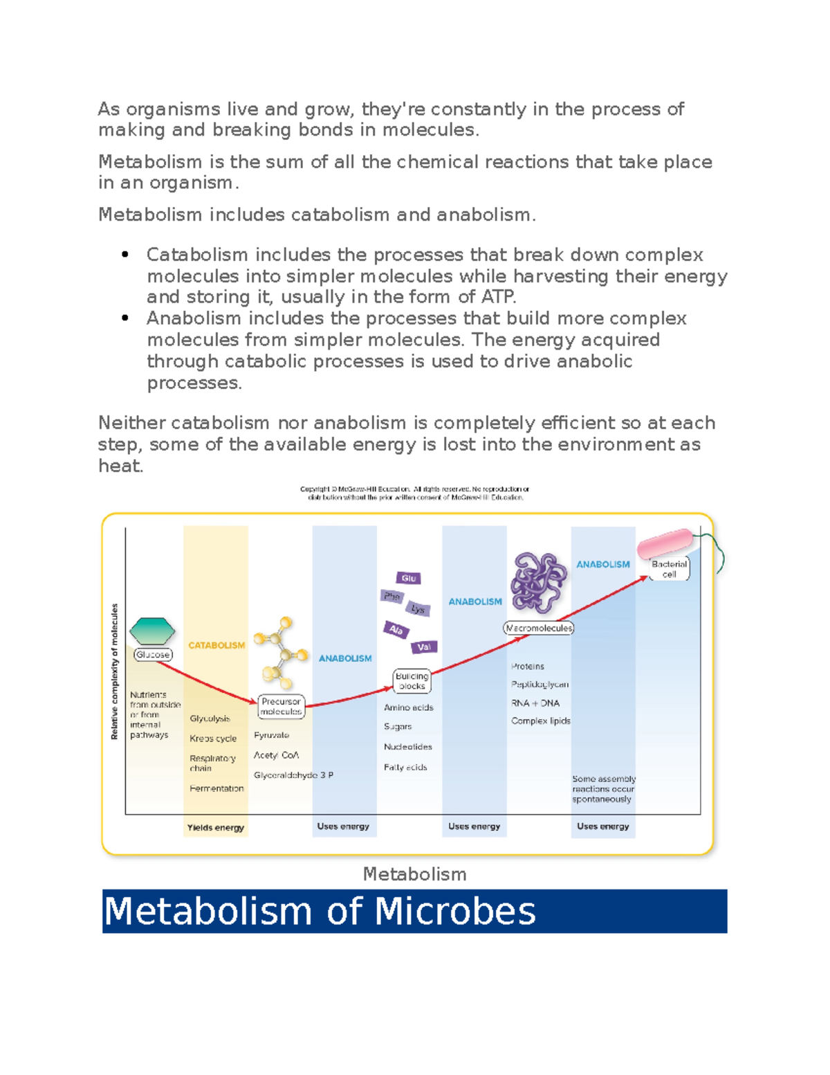 Microbial Nutrition Classwork for week 3 - BIOS-242 - Chamberlain ...
