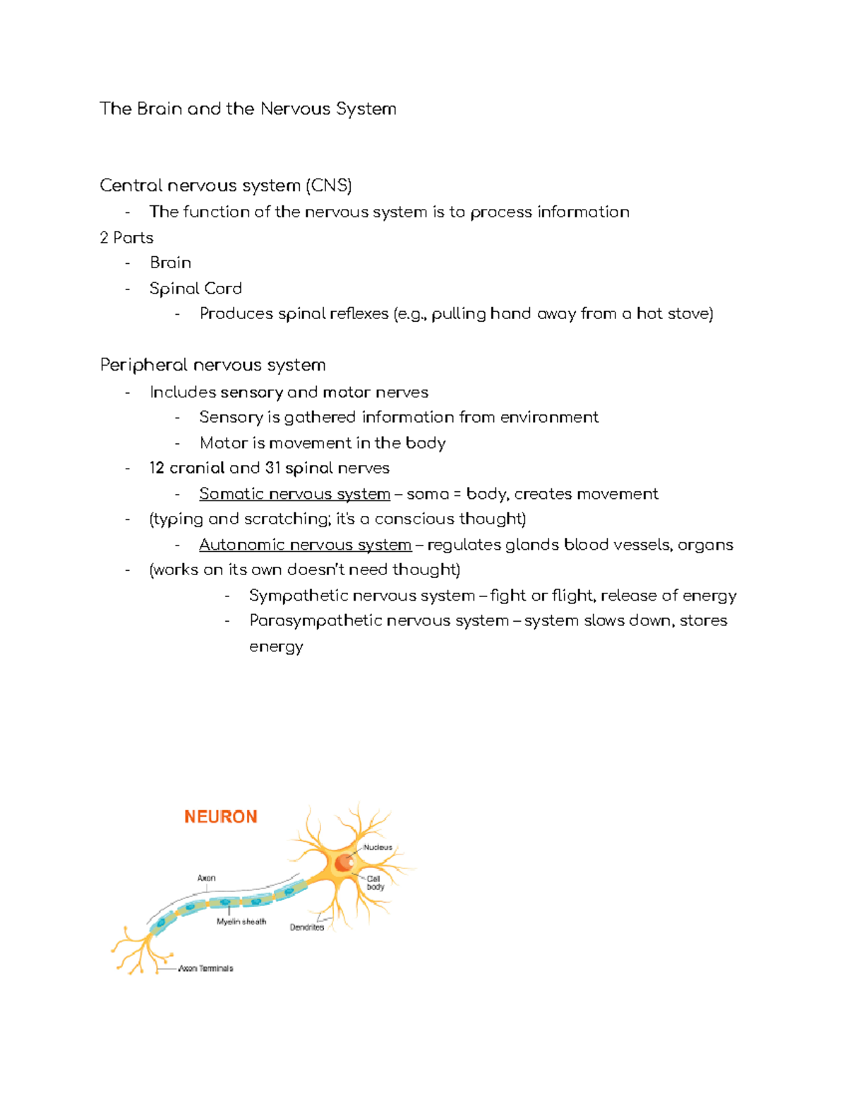 General Psychology PSY 101 - The Brain and the Nervous System Central ...