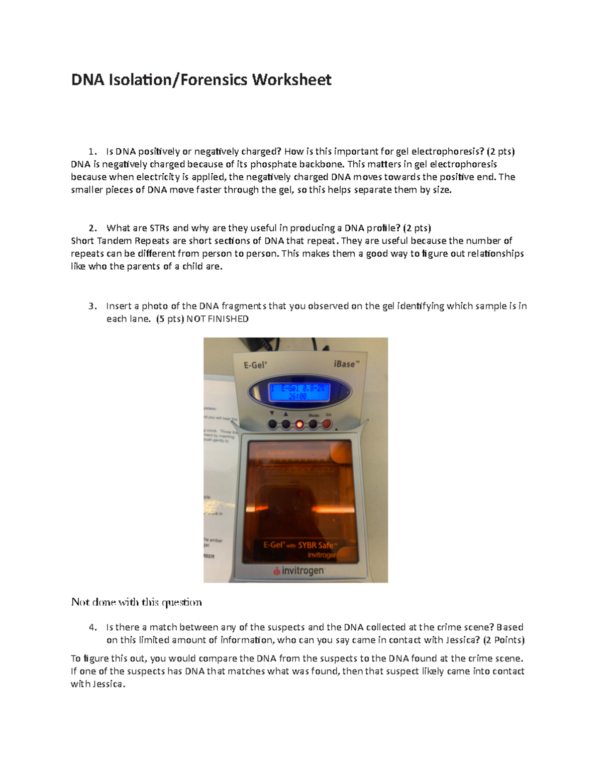 DNA 2024 - Ward - DNA - DNA Isola*on/Forensics Worksheet Is DNA posi ...