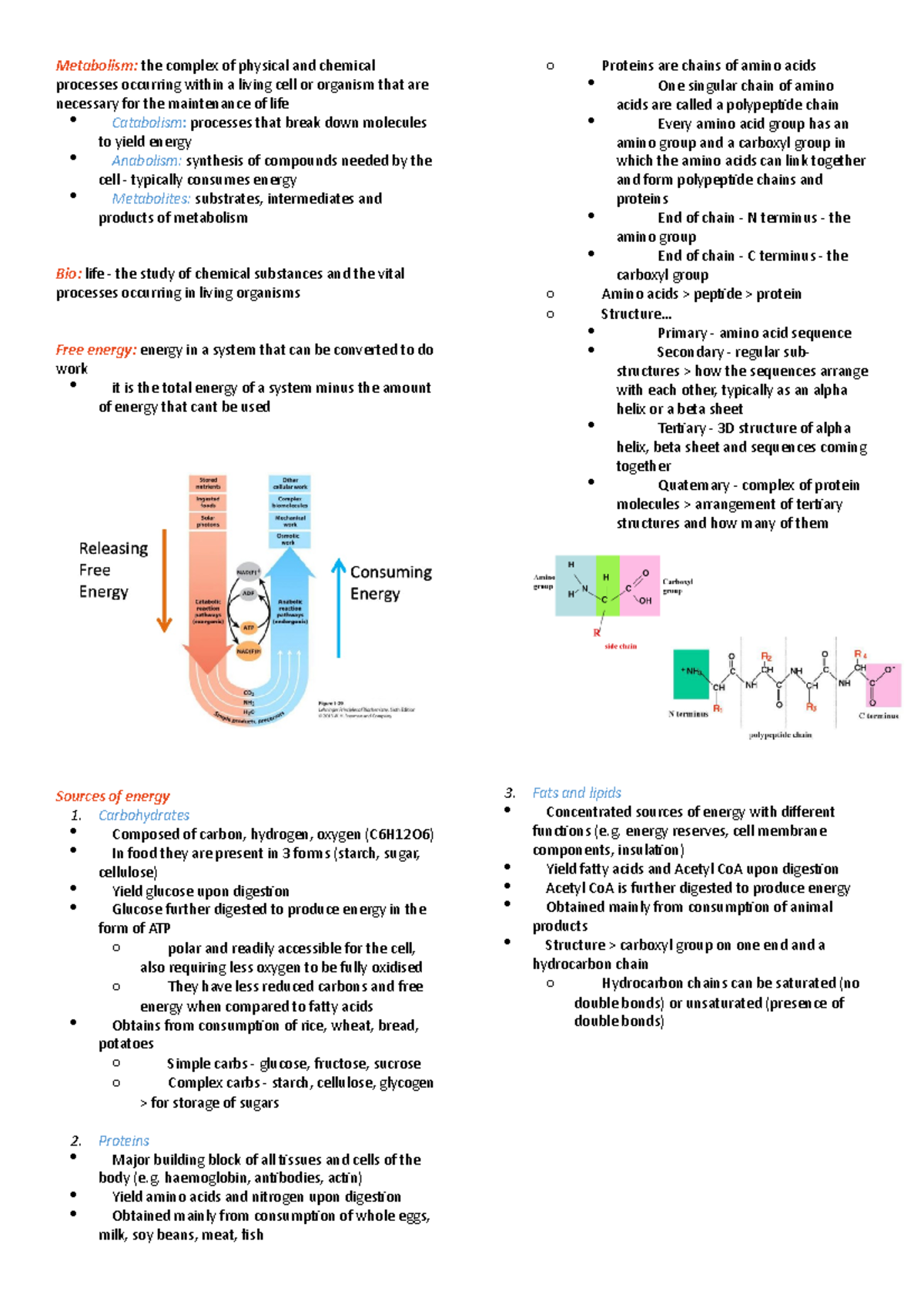 Lecture 1-3 notes - Metabolism: the complex of physical and chemical ...