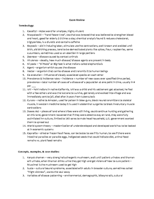 APA 7th paraphrasing-citation-activities - 7th Edition Paraphrasing and ...