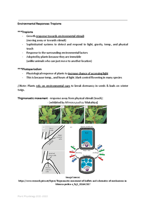 Plant Physiology Phototropism & Gravitropism - Environmental Responses ...