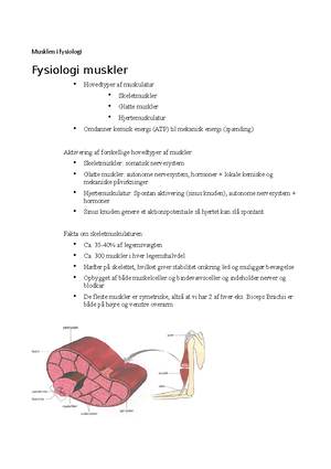 Noter til human og zoo-fyiologi - Generelt: Placentale dyr -> de har en ...