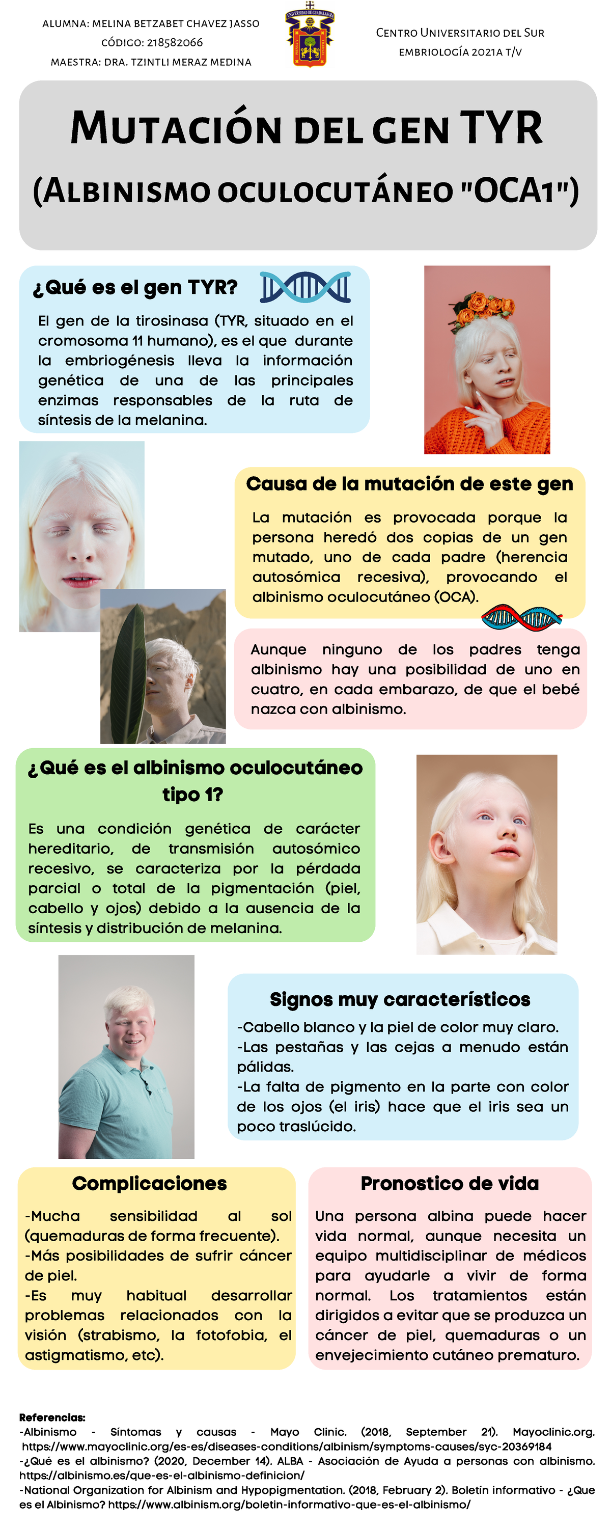 Infografía el albinismo ( Embiologia y genetica) - Mutación del gen TYR ...
