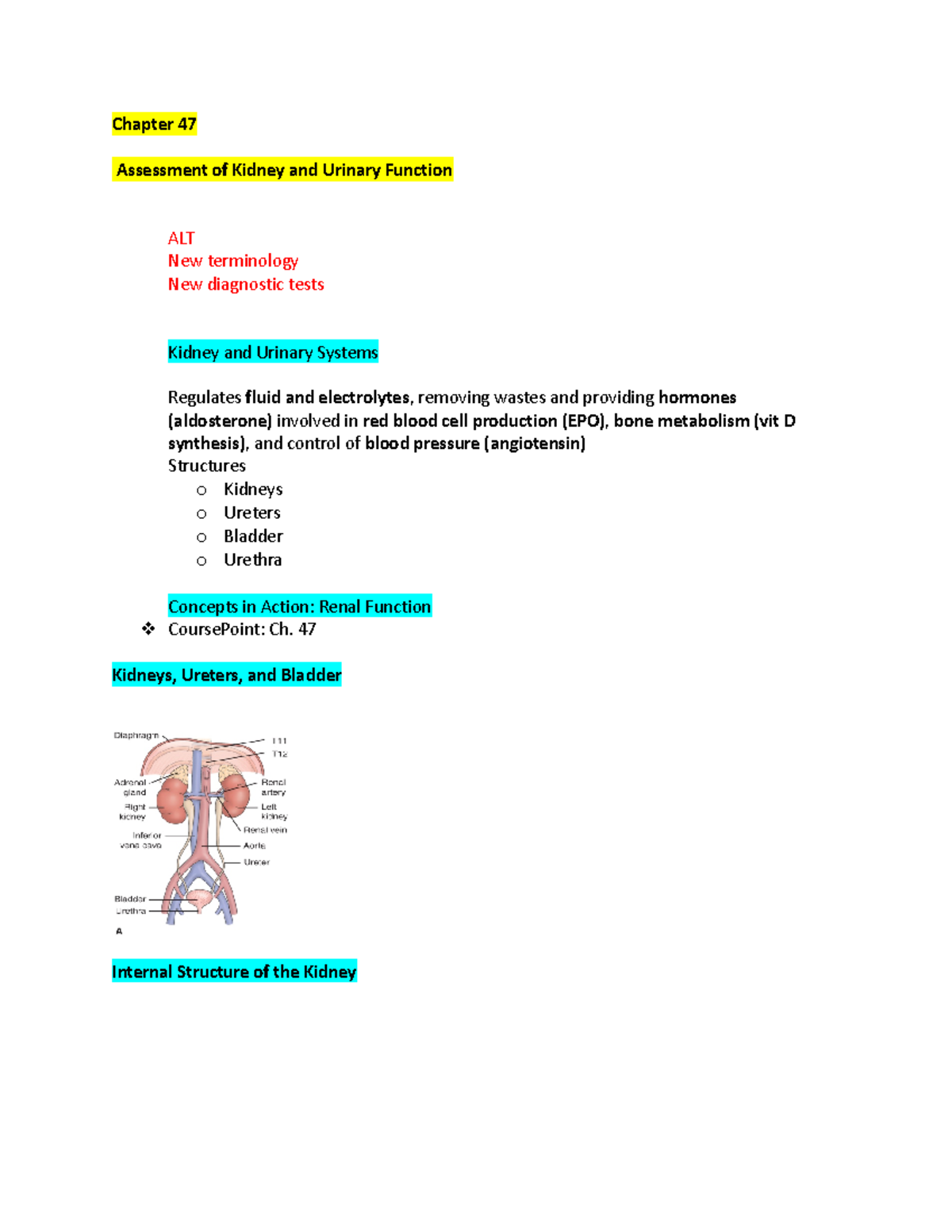 Assessment of kidney and urinary function chpt 47 - Chapter 47 Assessment of Kidney and Urinary ...