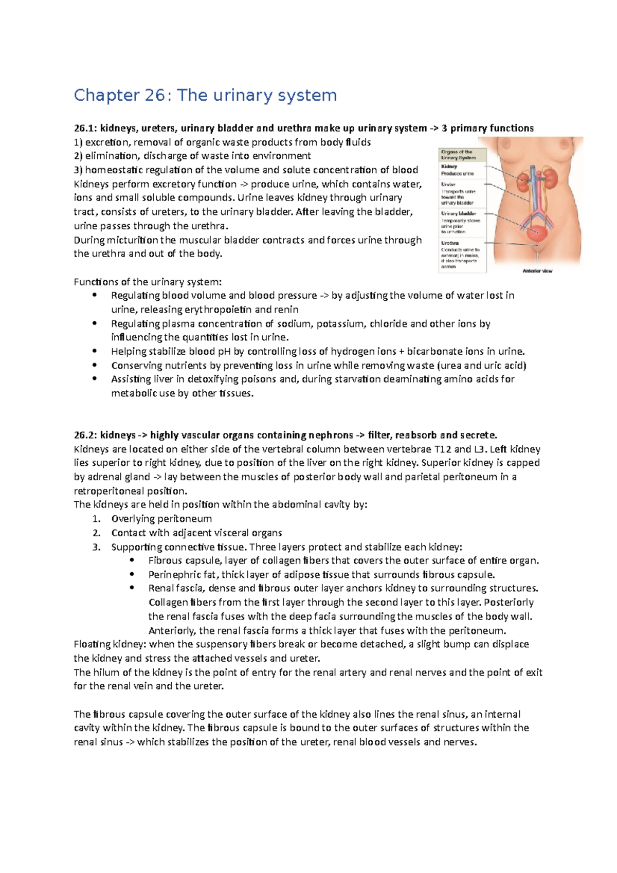C26 The urinary system - Chapter 26: The urinary system 26: kidneys ...