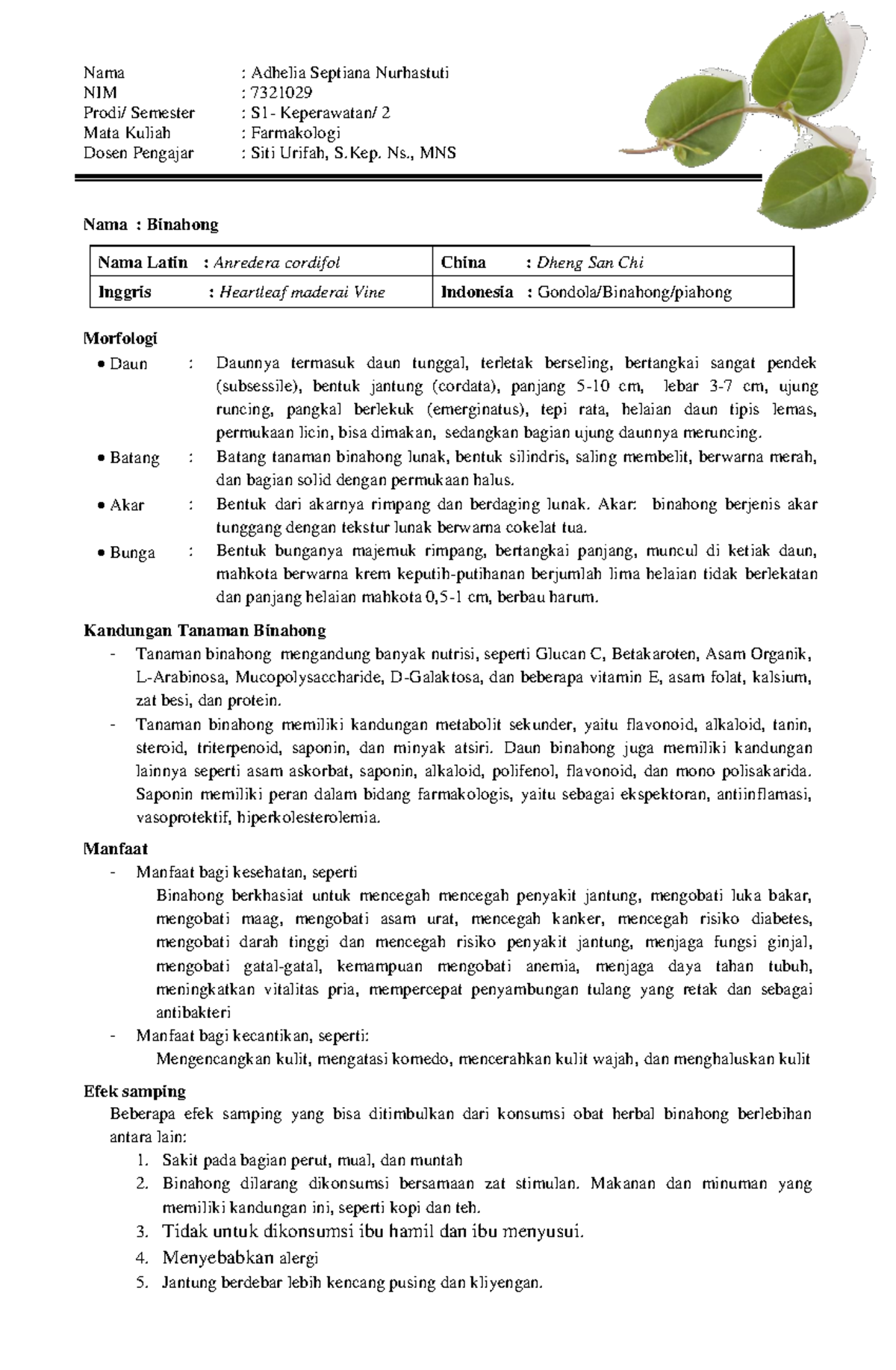 Klasifikasi dan cara pengolahan Tanaman Binahong - Nama : Adhelia Septiana Nurhastuti NIM ...