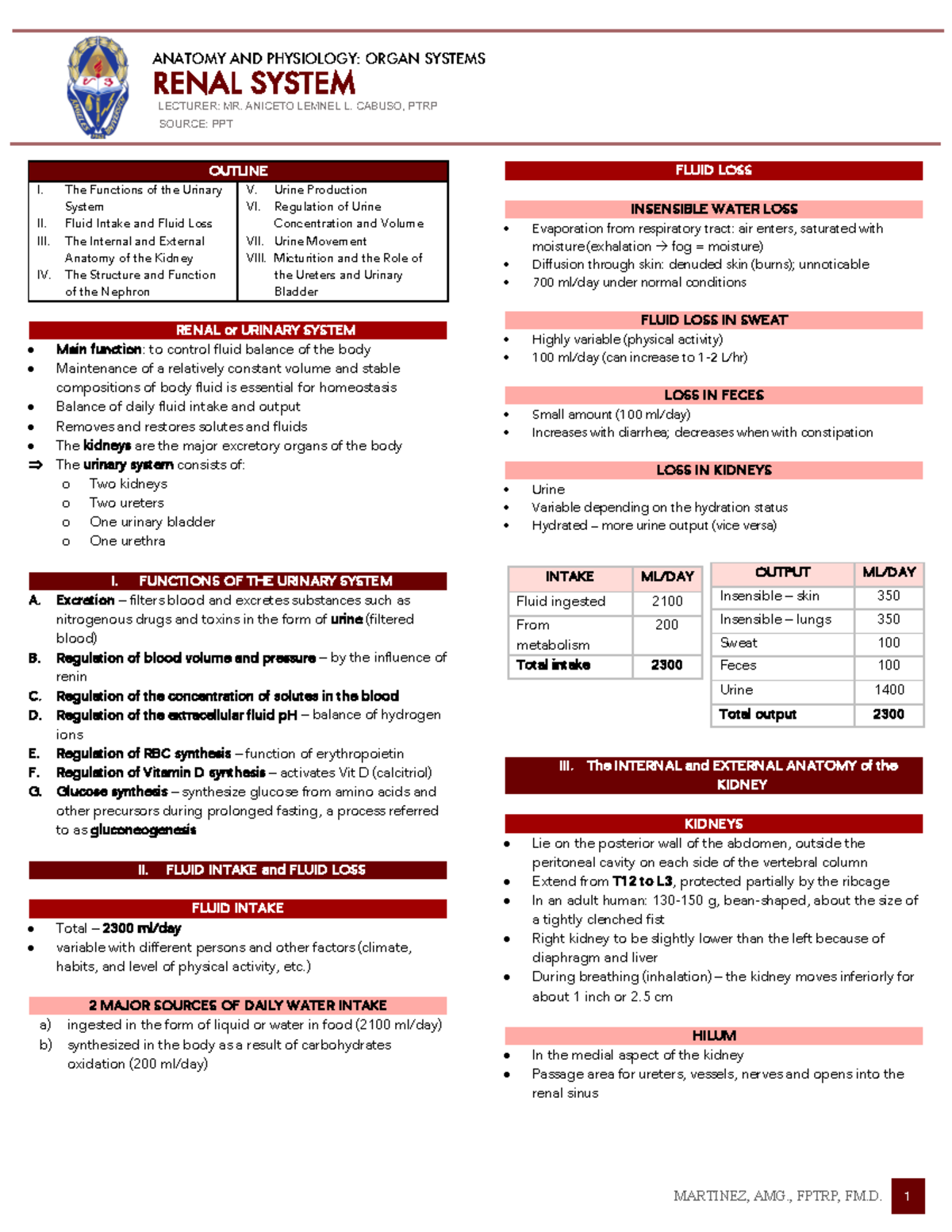 ANA2 - Module 9 - Renal System - RENAL SYSTEM LECTURER: MR. ANICETO ...
