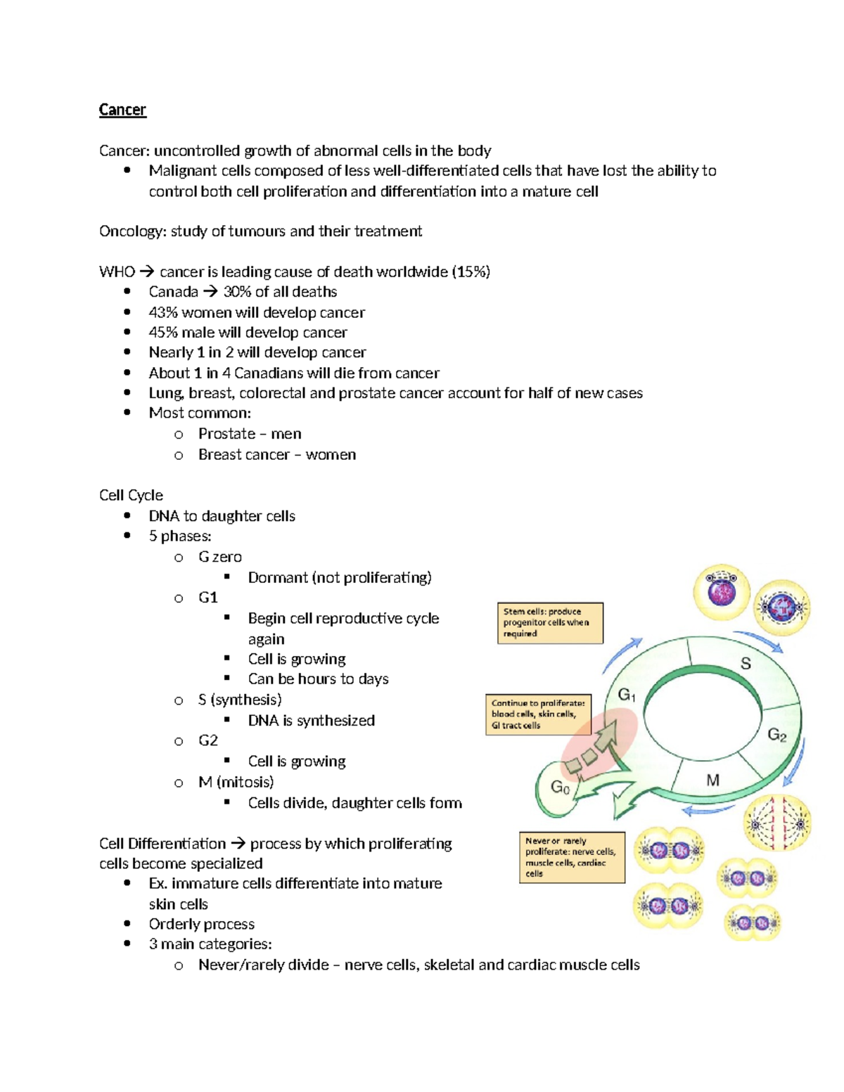 Cancer Module Notes - Cancer Cancer: uncontrolled growth of abnormal ...