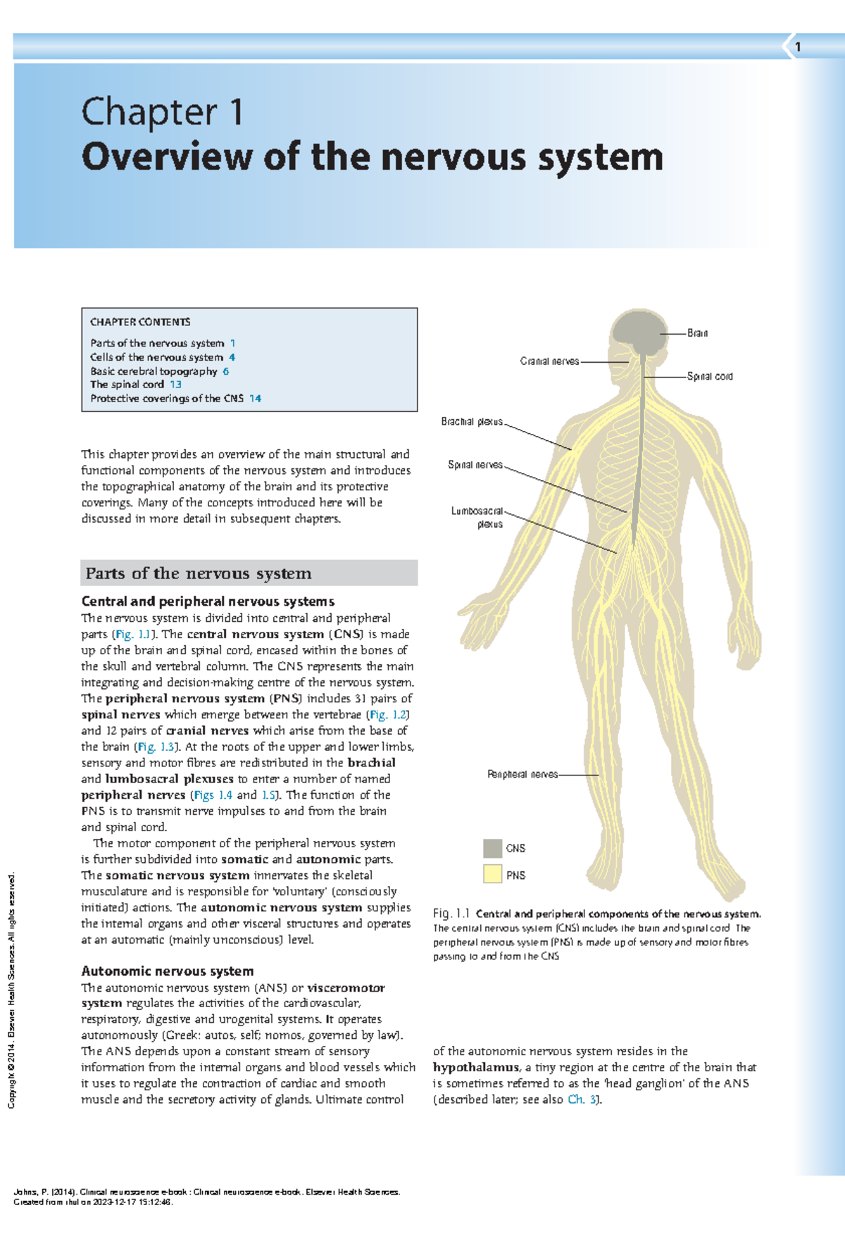 Lecture 2 - Overview of the nervous system, hormones, transmissions and ...