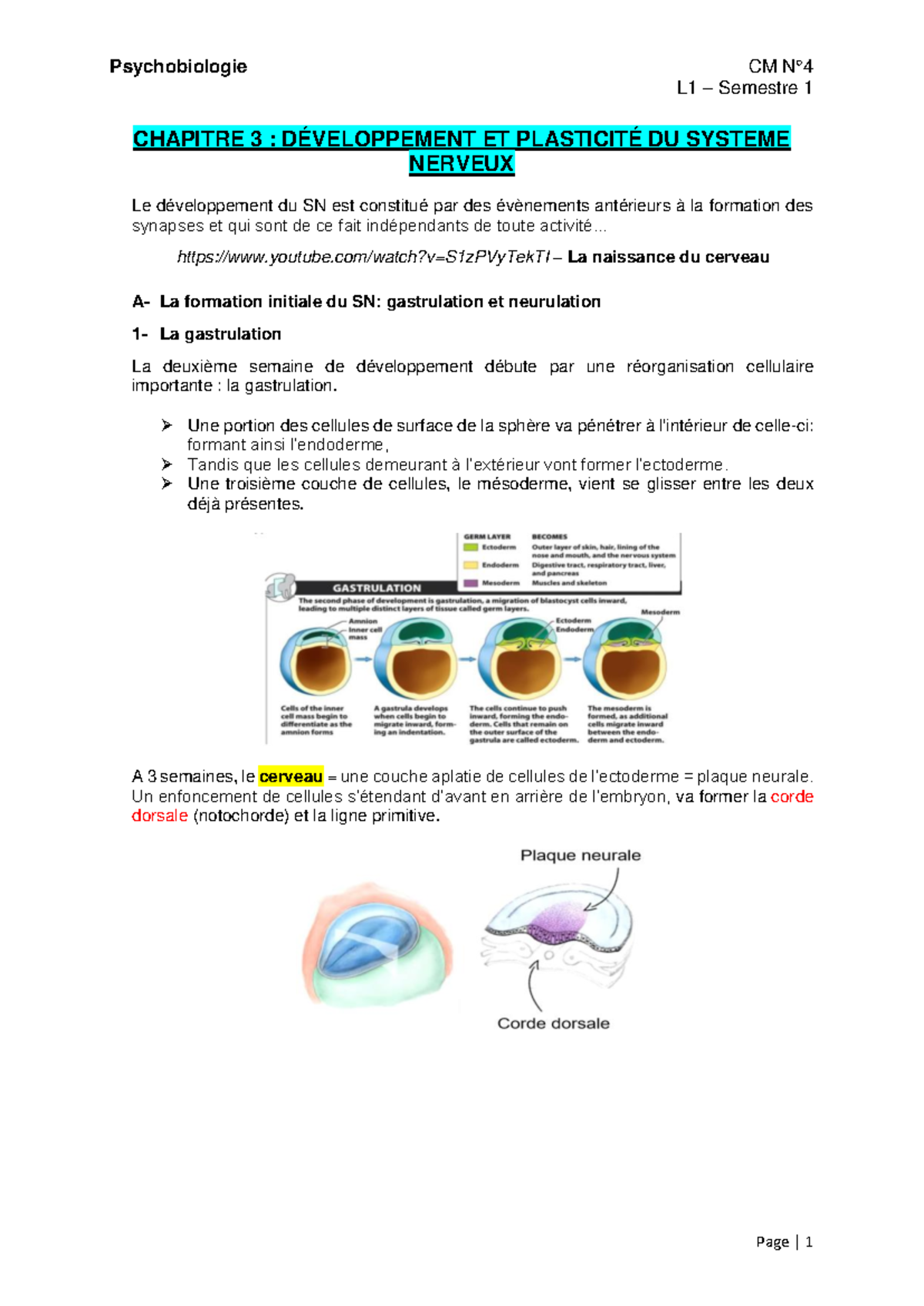CM4 Psychobio - Licence 1 Psychologie - Warning: TT: undefined function: 32 L1 – Semestre 1 ...