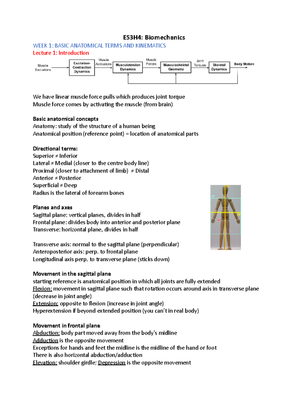 Biomechanics part1 - Lecture notes Part one - ES3H4: Biomechanics WEEK ...