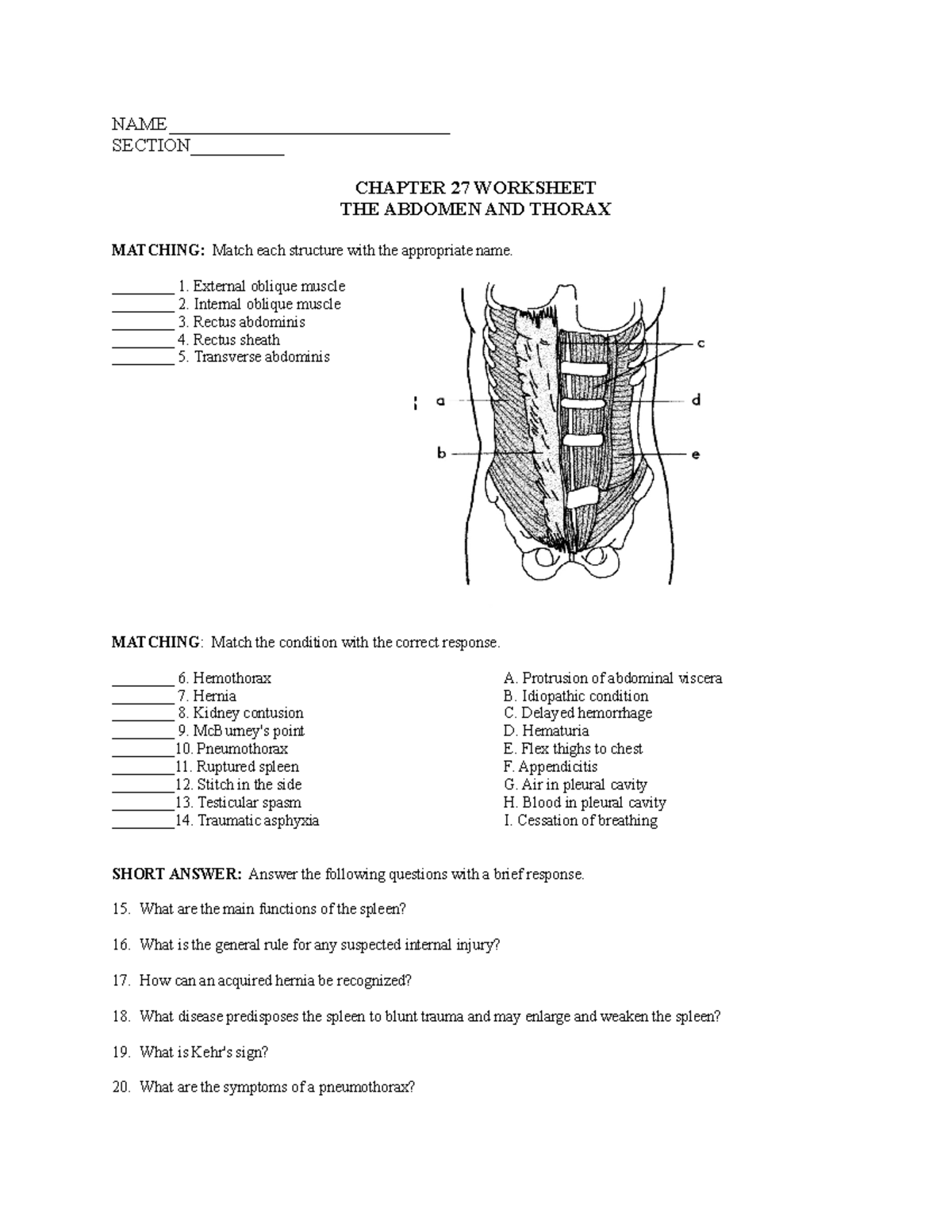Gen Med-Ch.27 Worksheet - NAME ______________________________ SECTION ...