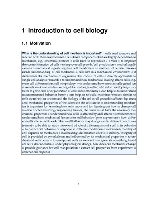 361007661 Study Drug Resistance in Bacteria Using Antibiotics ...
