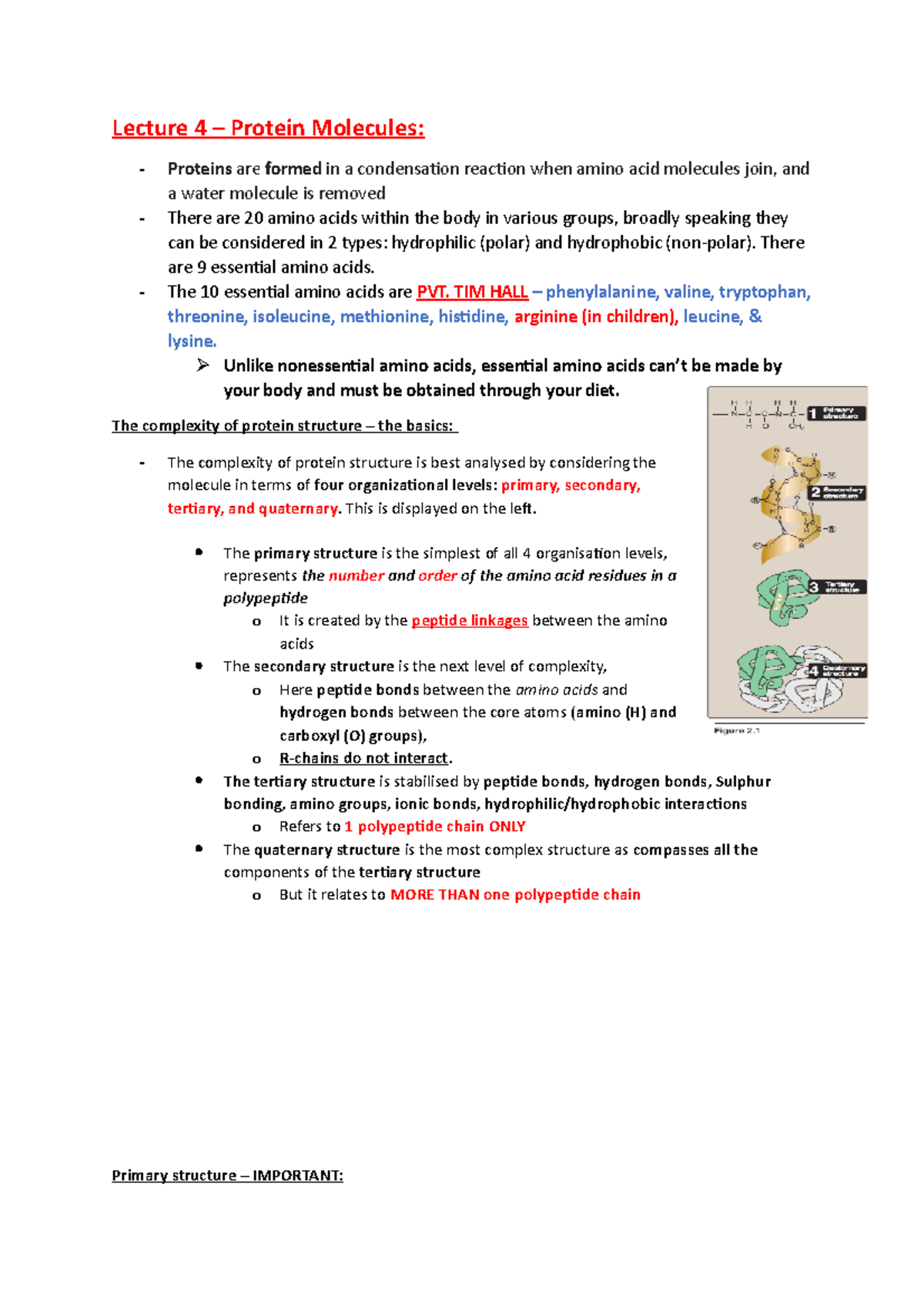 Life Science 1 - Proteins Notes - Lecture 4 – Protein Molecules ...