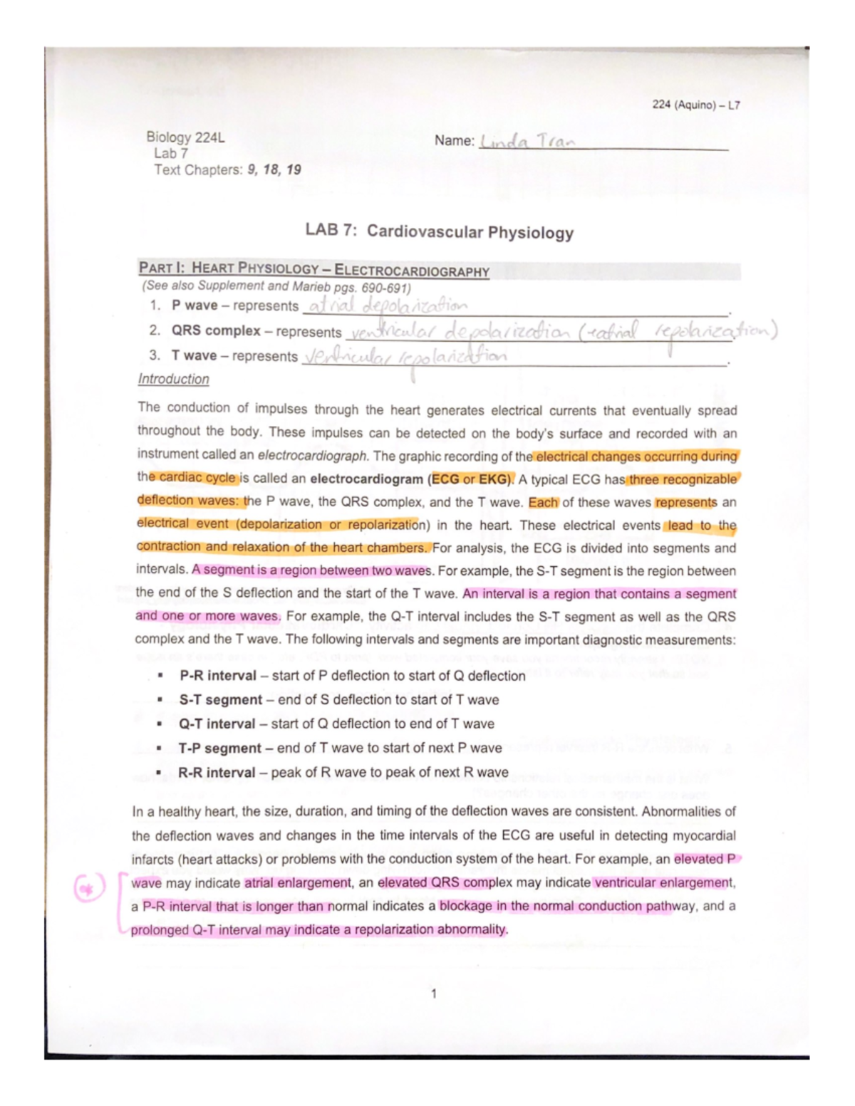 224-Aquino-L7 - 7th lab handout worksheet of the year. - BIOL 224L - Studocu