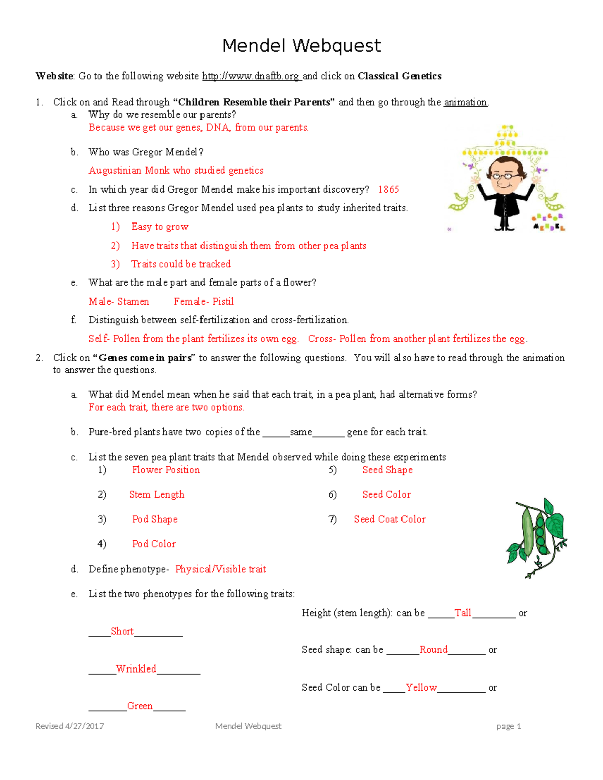 Mendel Webquest - Mendel Webquest Website: Go to the following website ...