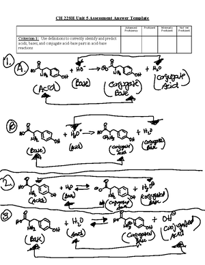 4. Lymph System Anatomy - BIO206 - Studocu
