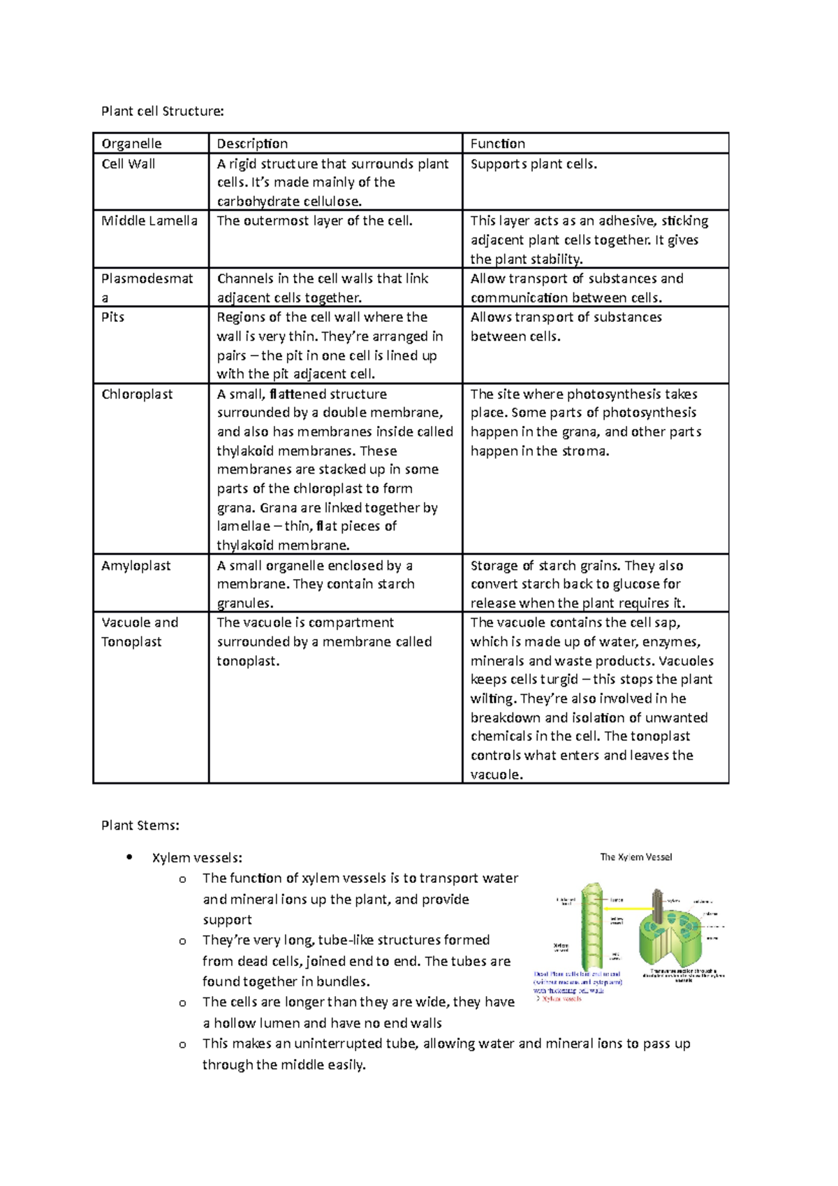 Plant cell Structure - Plant cell Structure: Organelle Description ...