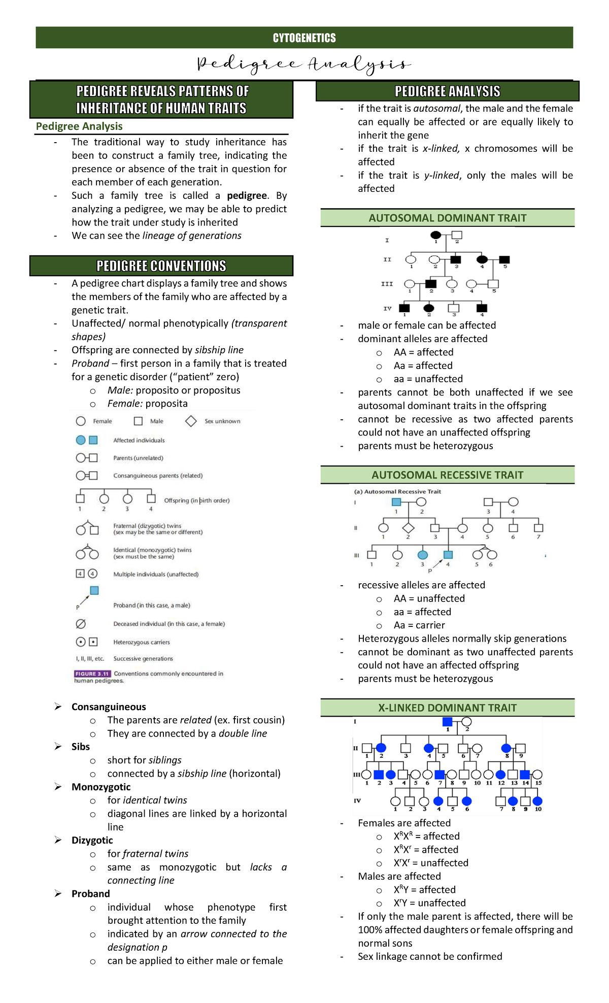 Lesson 7. Pedigree Analysis - CYTOGENETICS Pedigree Analysis The ...