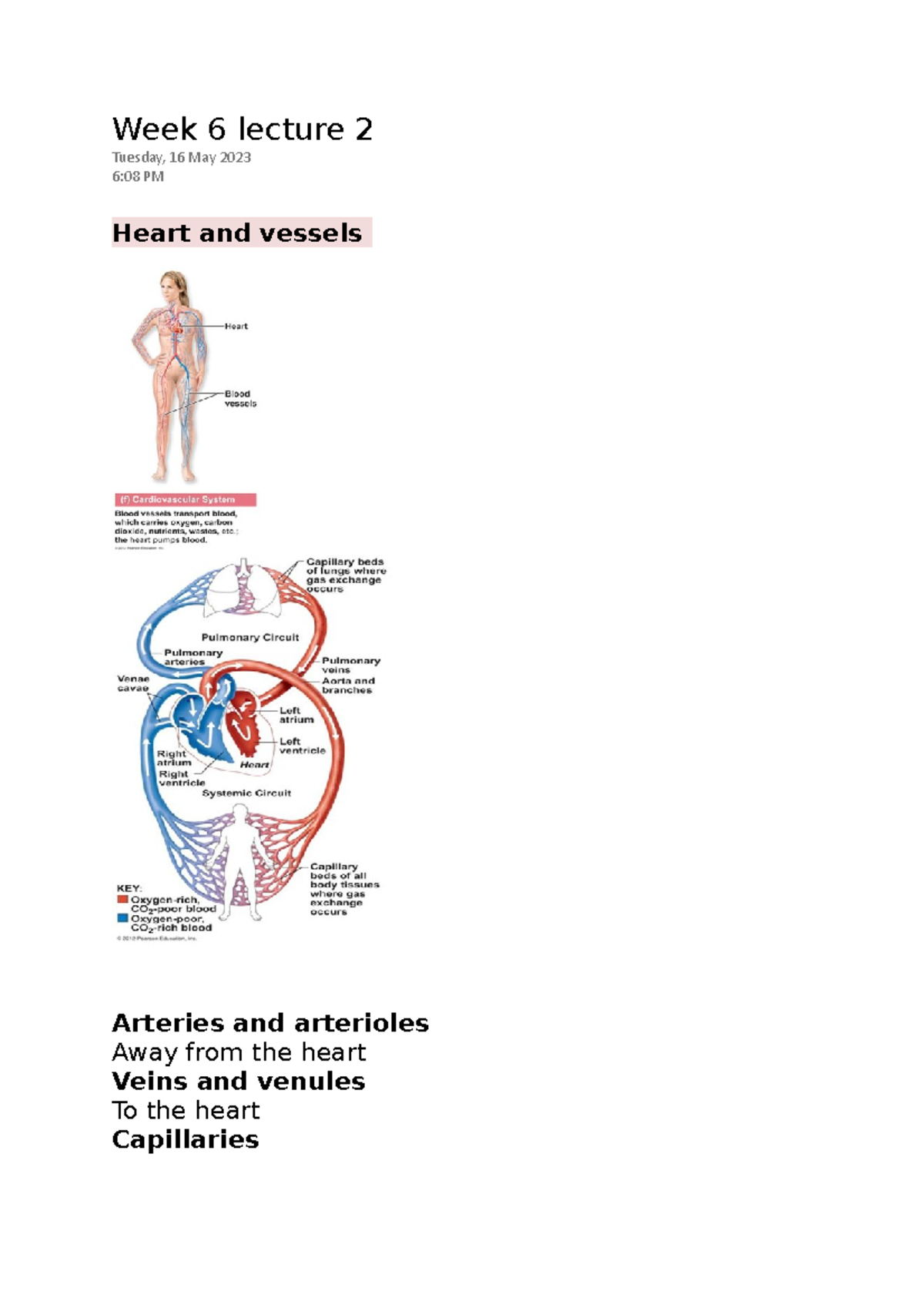 Week 6 Lecture 2 Phy Physiology Notes Week 6 Lecture 2 Tuesday 16