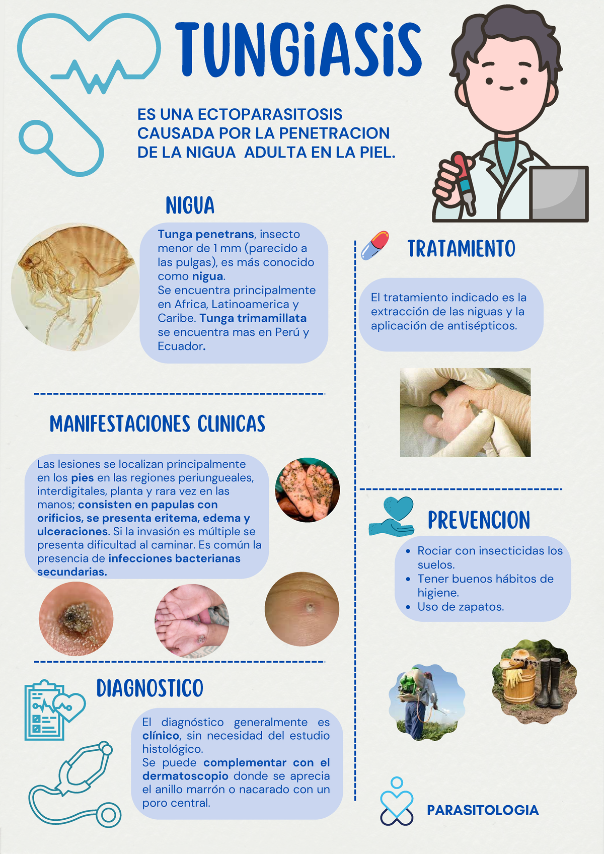 Tungiasis - Rociar con insecticidas los suelos. Tener buenos hábitos de ...