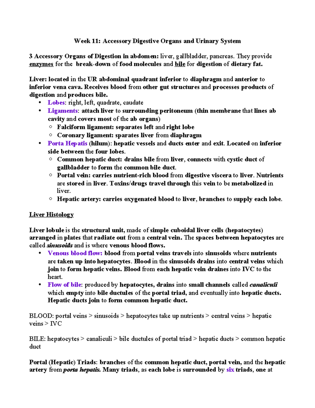 Anat100 Week11 - Module 11 - Week 11: Accessory Digestive Organs and ...