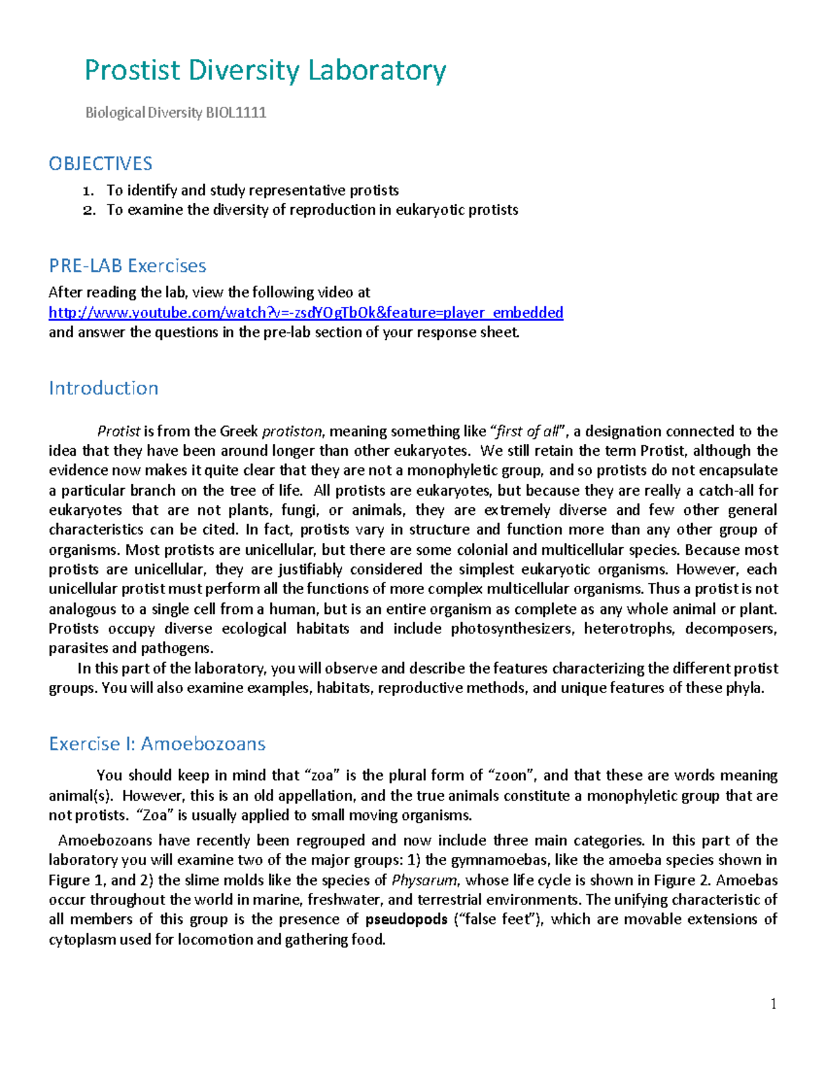 Protist Diversity - Lab - Prostist Diversity Laboratory Biological ...