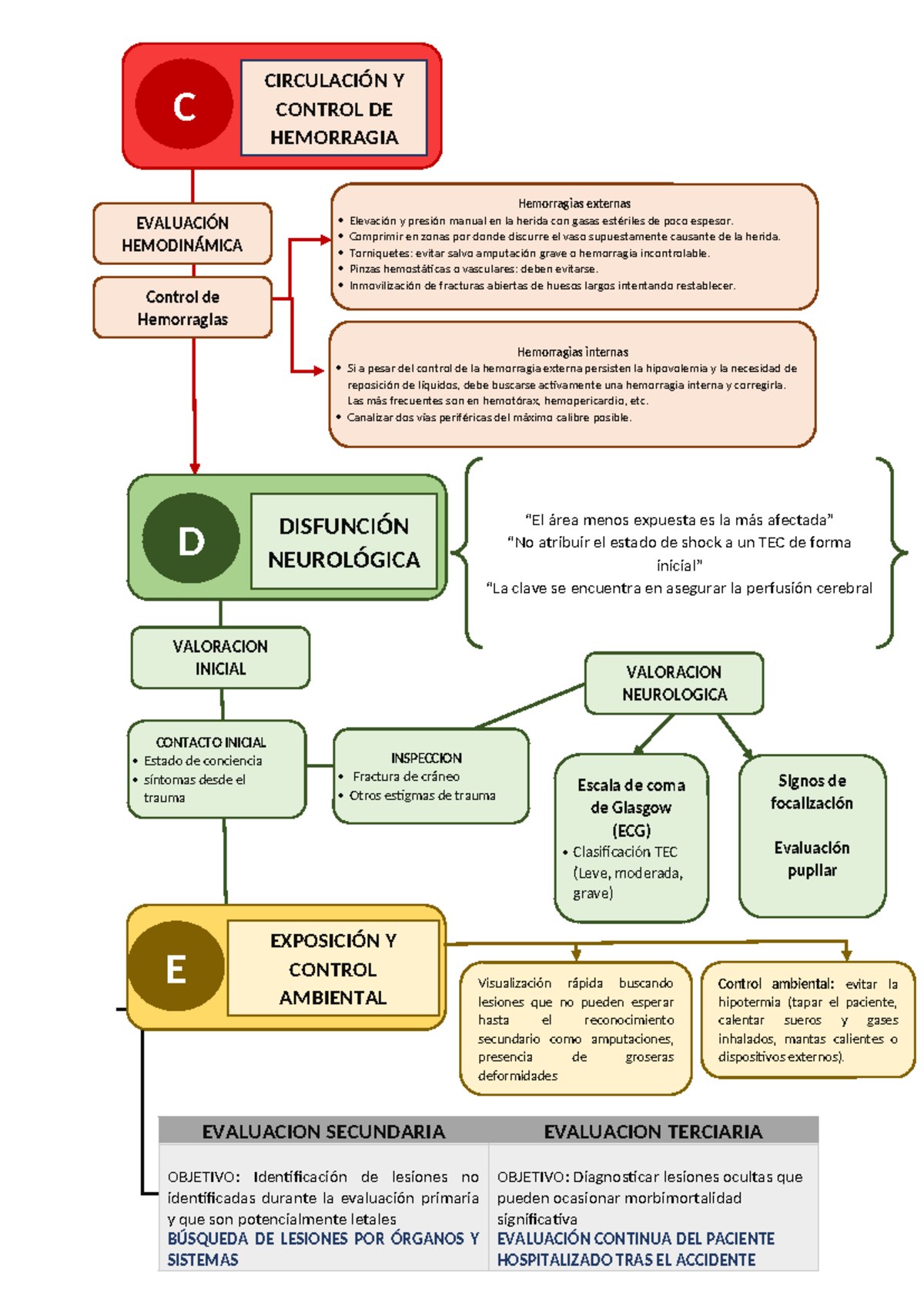 Algoritmo POLI 2 final - POLITRAUMATISMO MAPA CONCEPTUAL - “El área ...