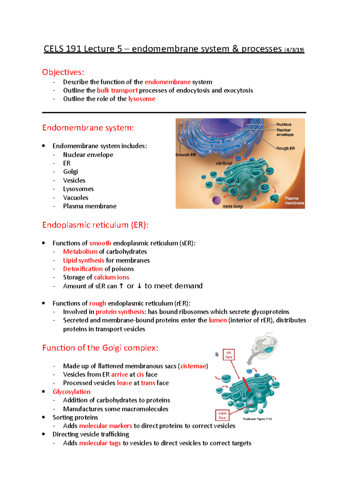 CELS 191 Lecture 5 - CELS191, scored . 97% average - CELS 191 Lecture 5 ...