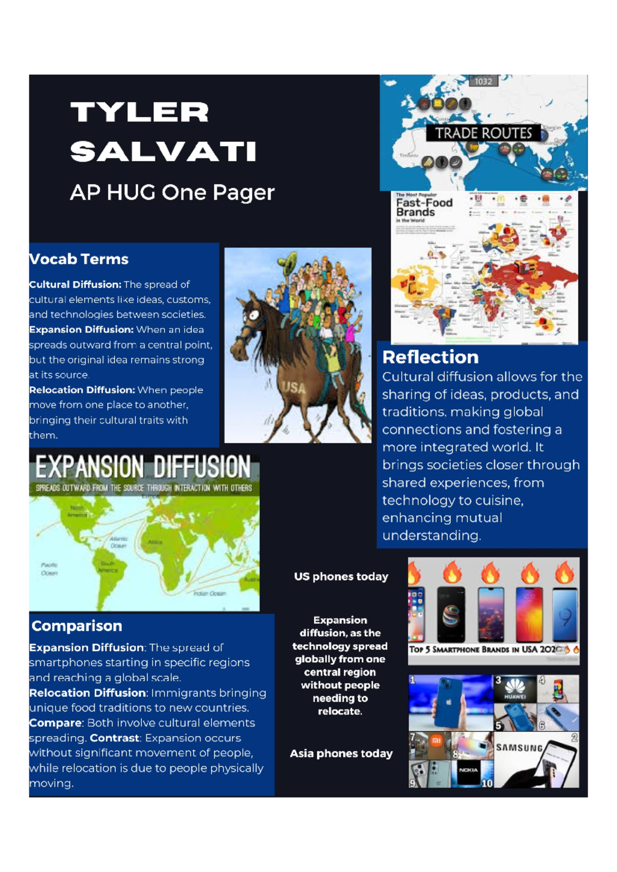 AP Human Geography One Pager Diffusion - 1032 TYLER TRADE ROUTES ...