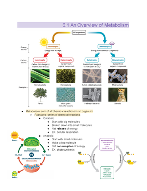 VCU BIOL 151: Introduction to Biological Sciences Exam 1 Notes - Bio ...