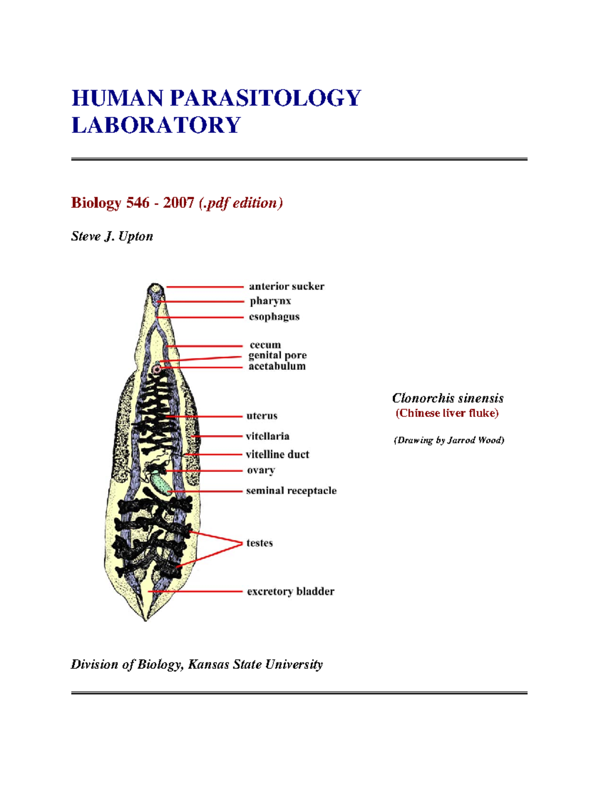 Human parasitology laboratory - HUMAN PARASITOLOGY LABORATORY - Studocu