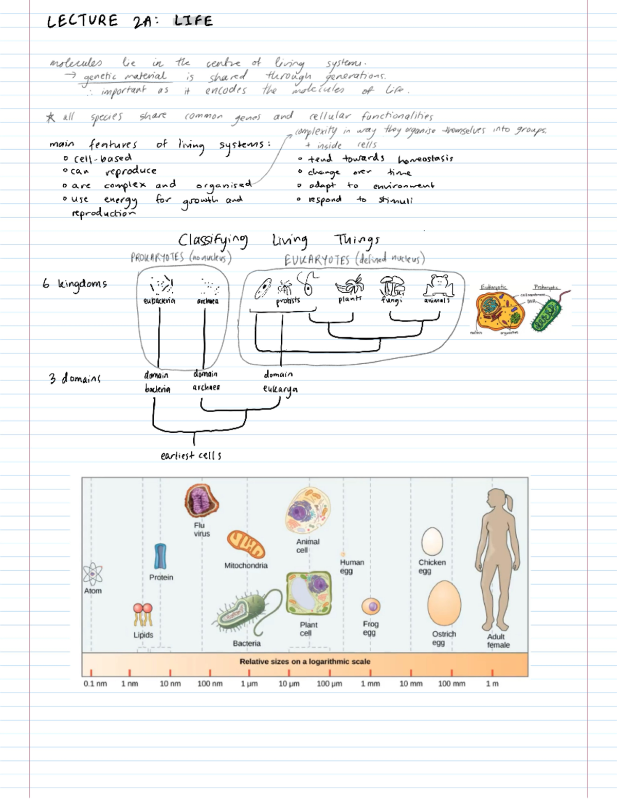 1 Lecture 2A Life - Biol1007 - Studocu