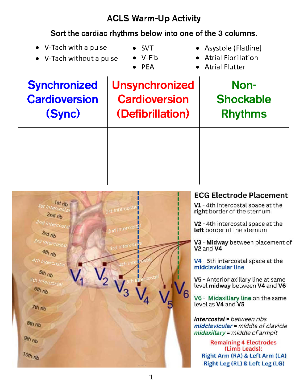 NUR 445 - AHA ACLS Algorithms - ACLS Warm-Up Activity Sort the cardiac ...