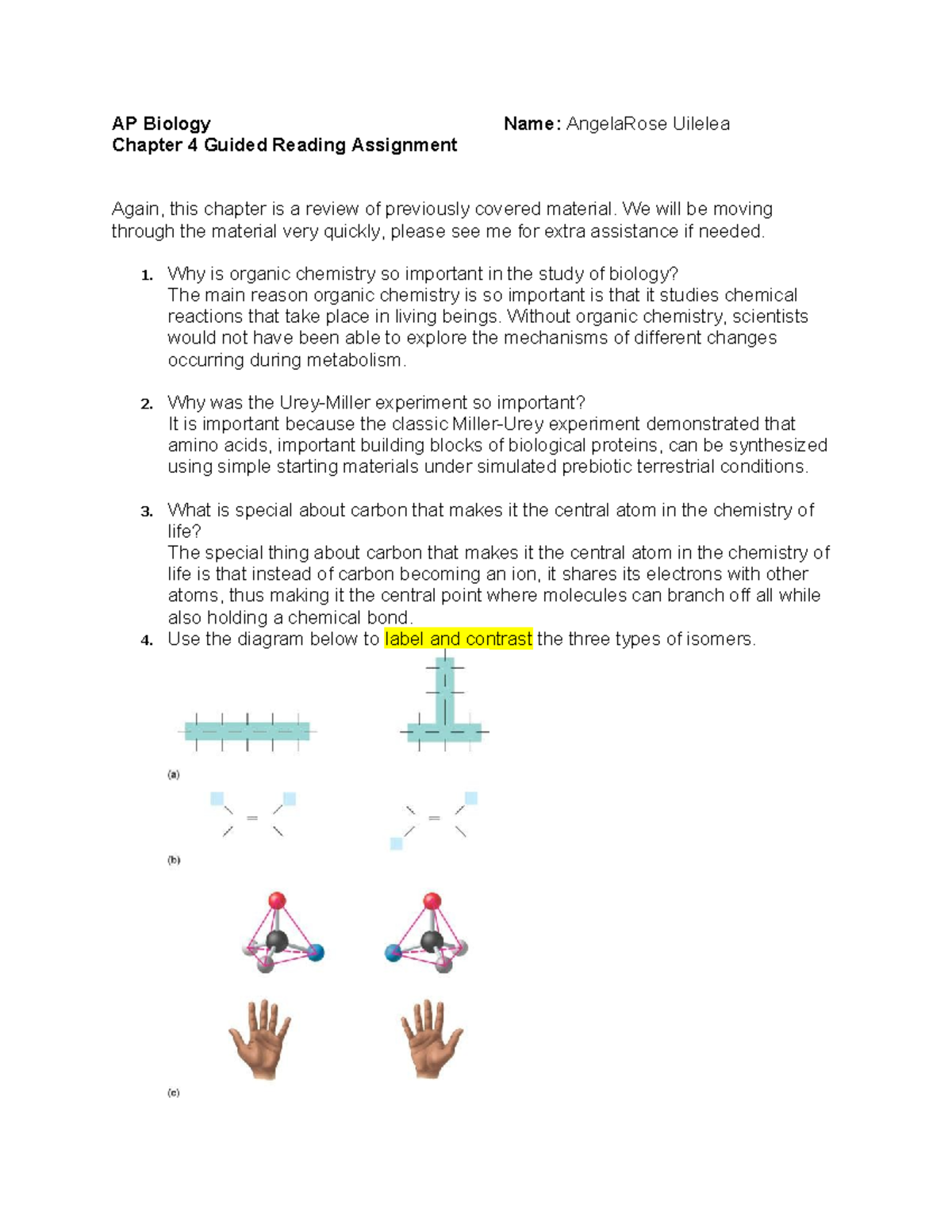 Chapter 4 - Study guide. - AP Biology Name: AngelaRose Uilelea Chapter ...