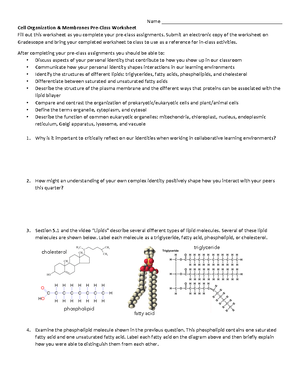 D3 Positioning for X-Rays Worksheet - Name(s ...