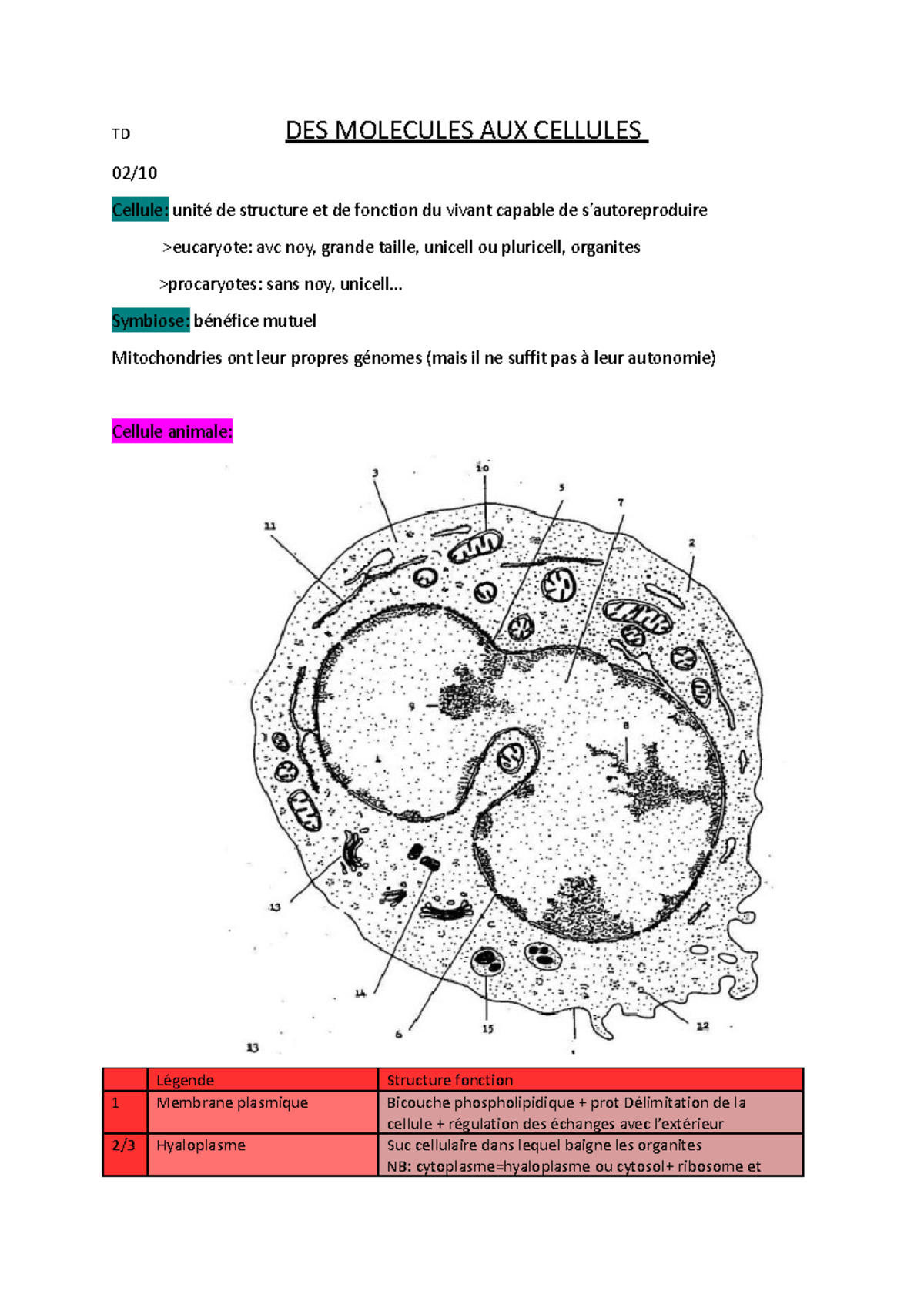TD des mol aux cell 02 - cours de cell - TD DES MOLECULES AUX CELLULES ...