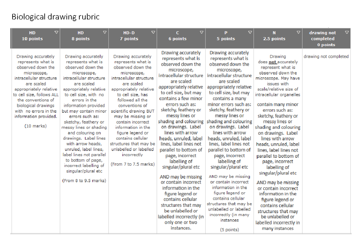 Biological drawing rubric - SLE221 - Studocu
