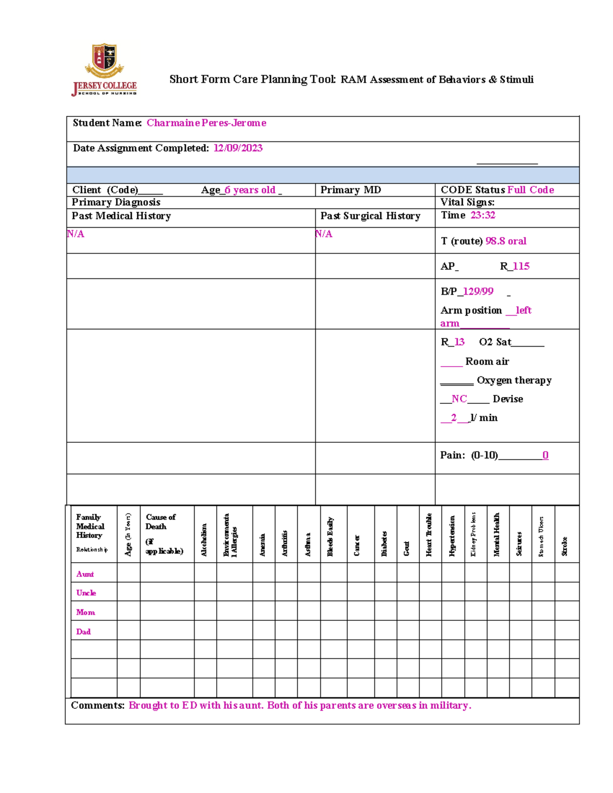 Handout Short Care Plan Form (1) (1) - Short Form Care Planning Tool ...