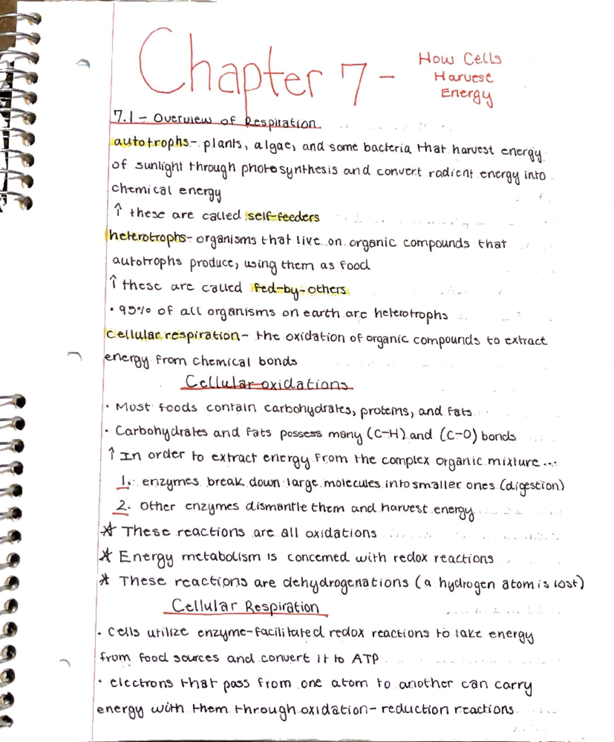 Bio 1406 Chapter 7 notes - BIOL 1406 - Studocu