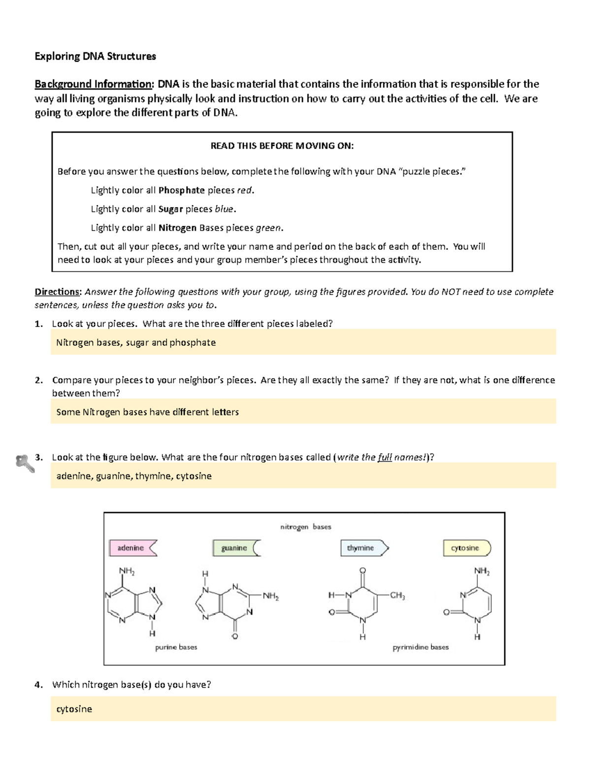 DNA Structure BioCP - Exploring DNA Structures Background Information ...