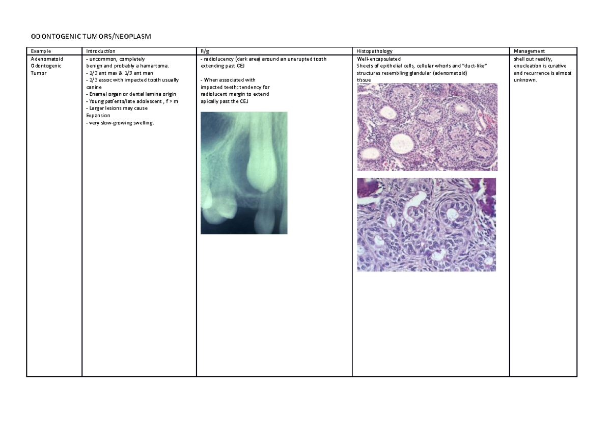 Odontogenic Tumors II - Summary Oral and Maxillofacial Pathology ...